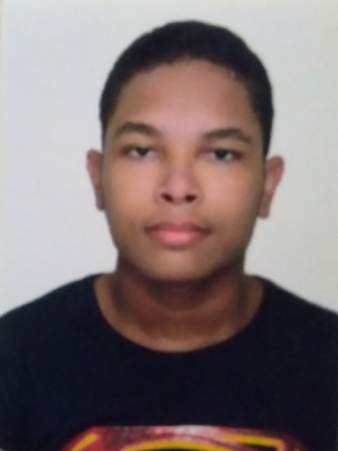 Perfil
